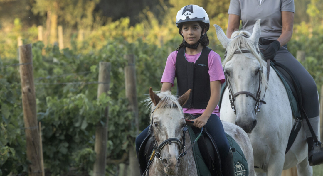 Pony Ride - Cal Robusto